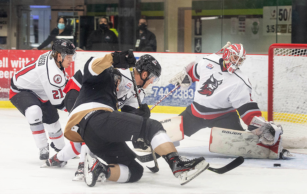 Growers 4 Adirondack Thunder 1 in opening home game in CBS - The Sports ...